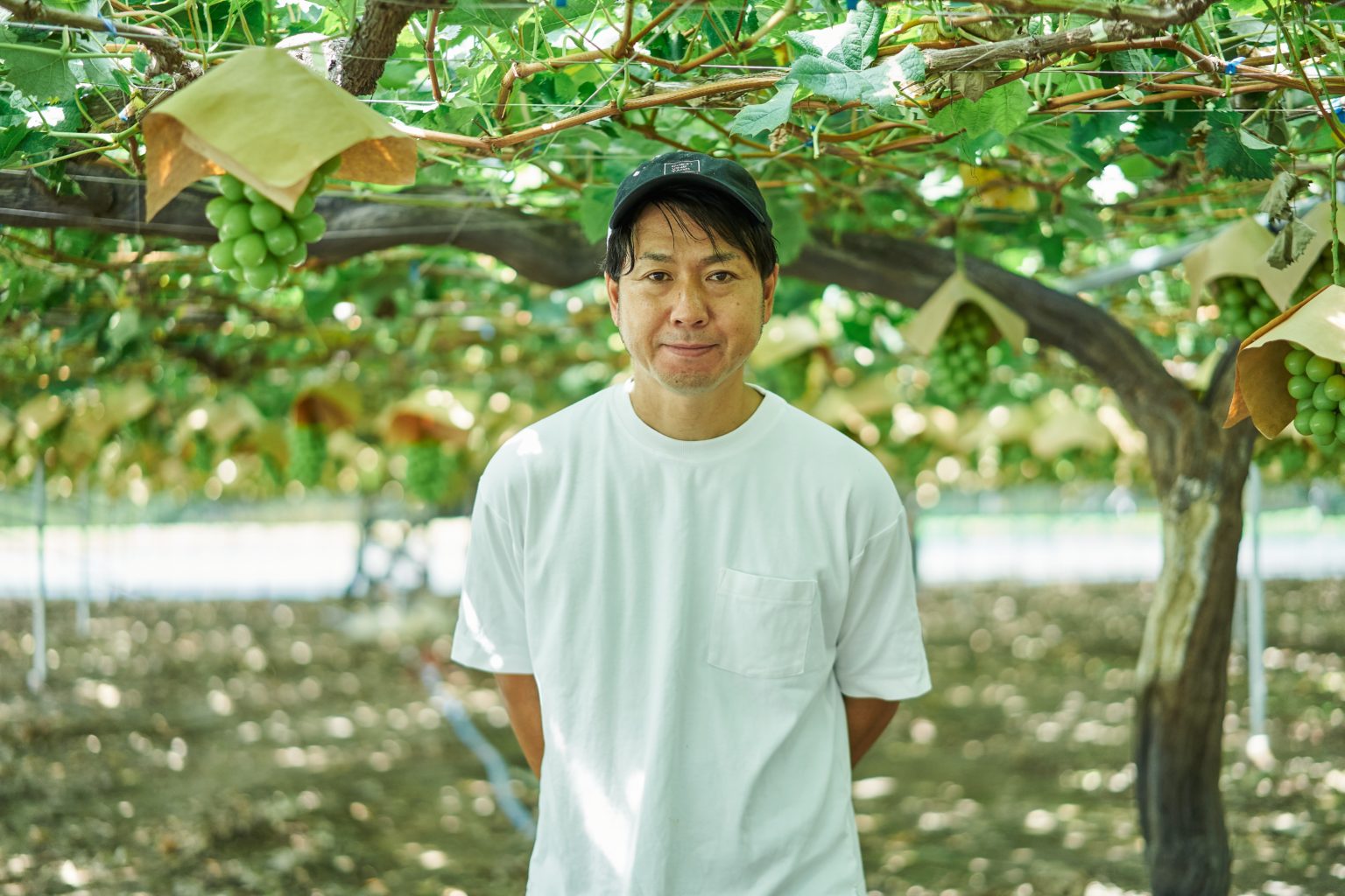 生産者インタビュー｜山梨の宝石 OGINO VINEYARDさん『シャインマスカット』💓